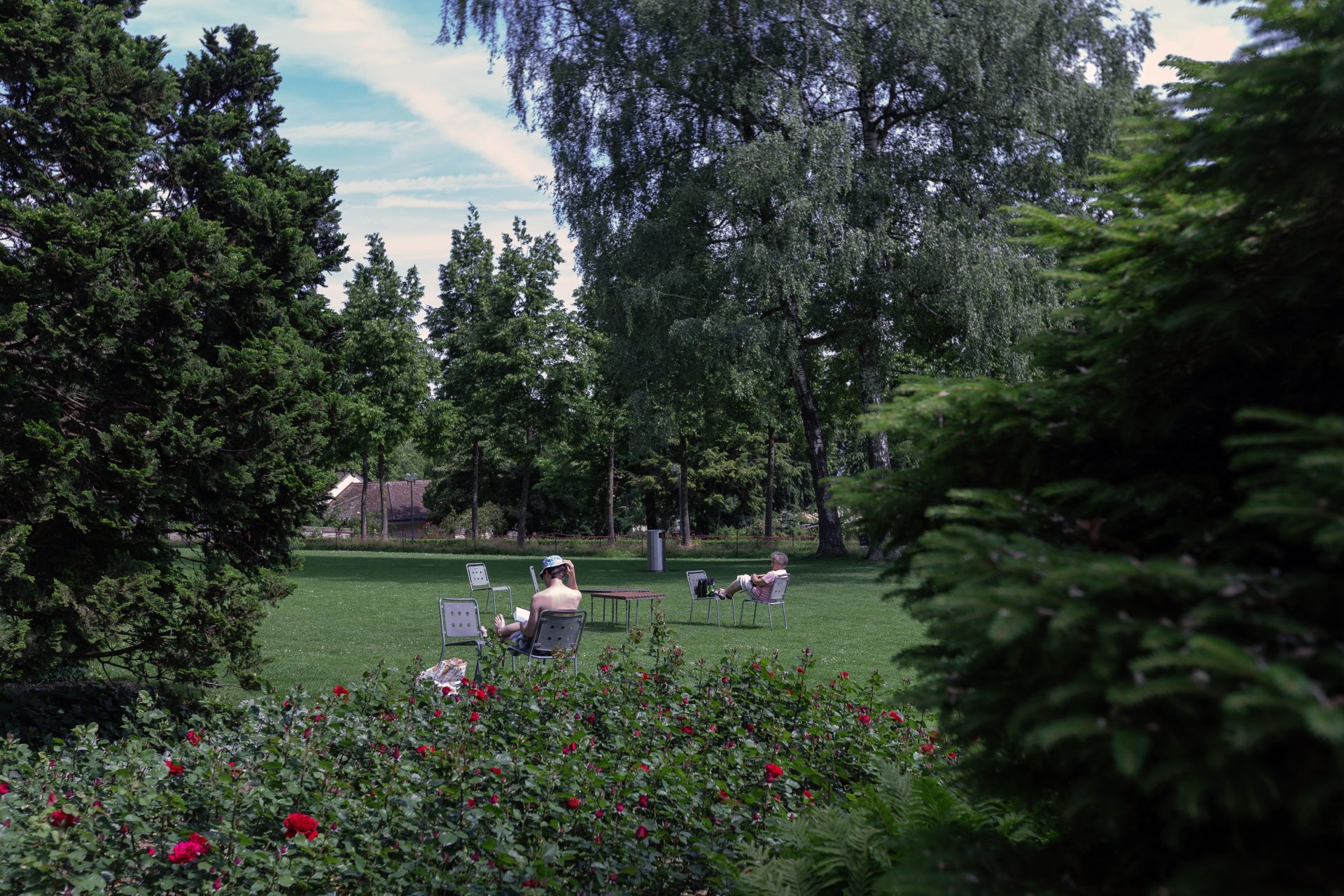 Grãos (Exposição) – Victor Balde