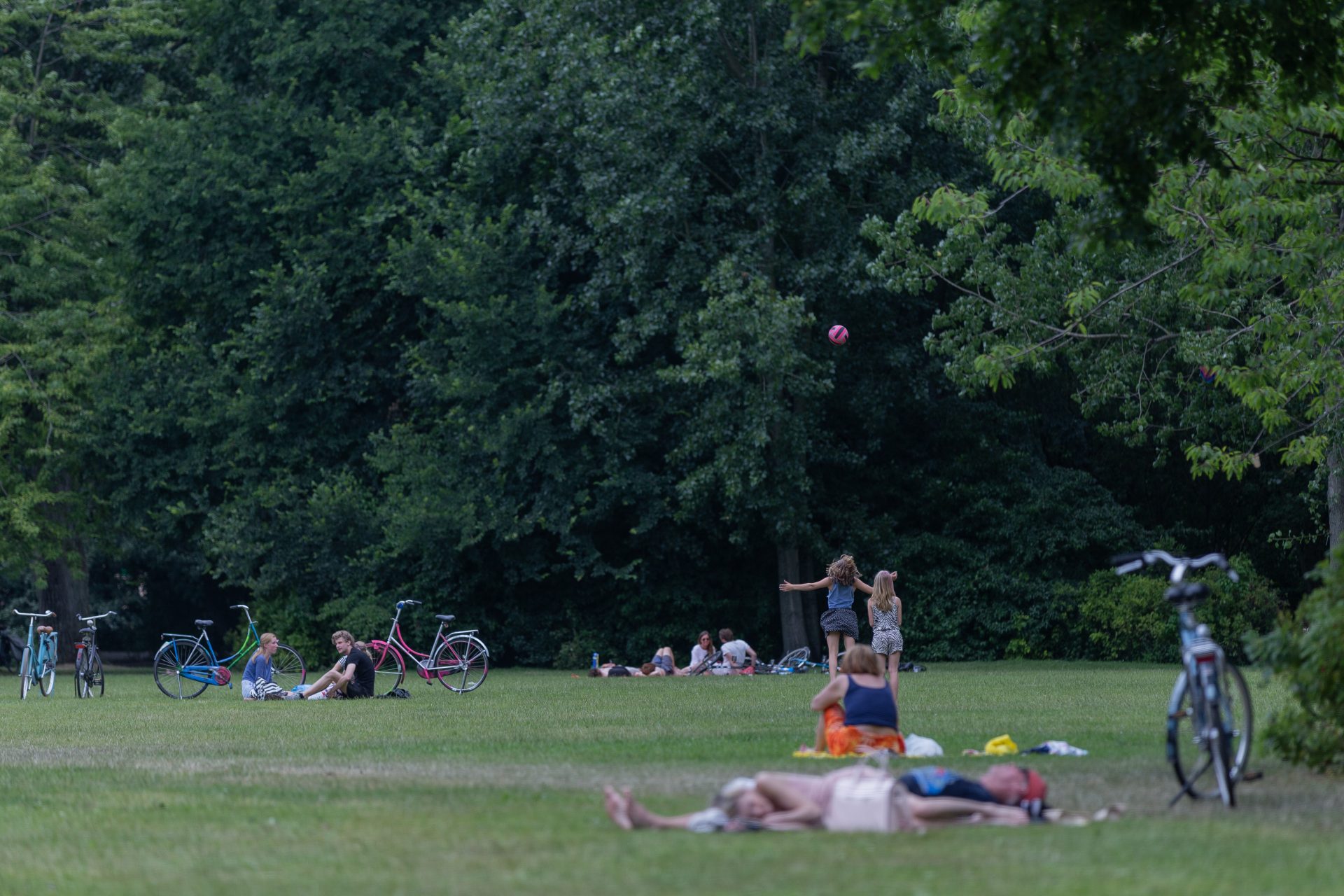 Grãos (Exposição) – Victor Balde